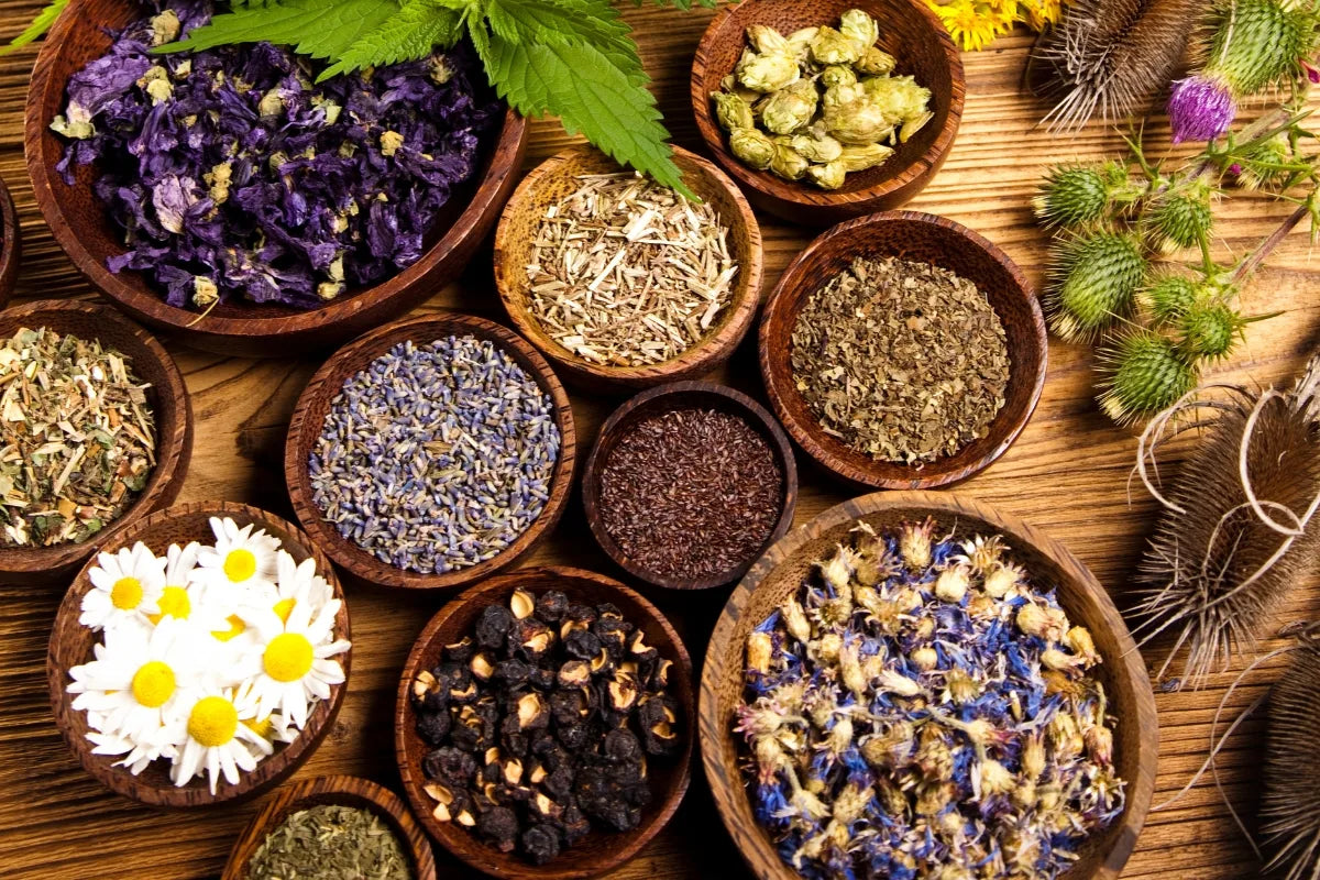 The History of Herbs & Their Therapeutic Uses – Air Tea Company